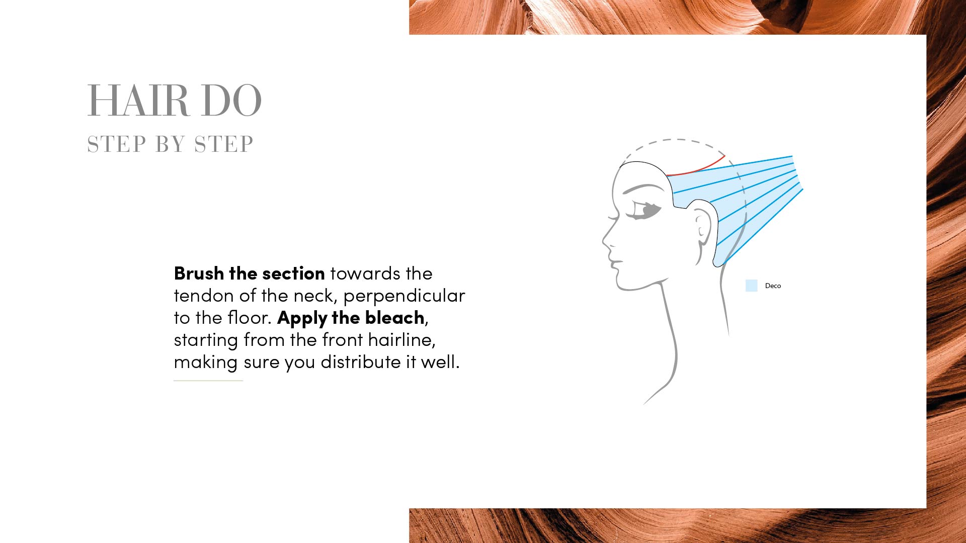 Hair Do - Medavita for Salons